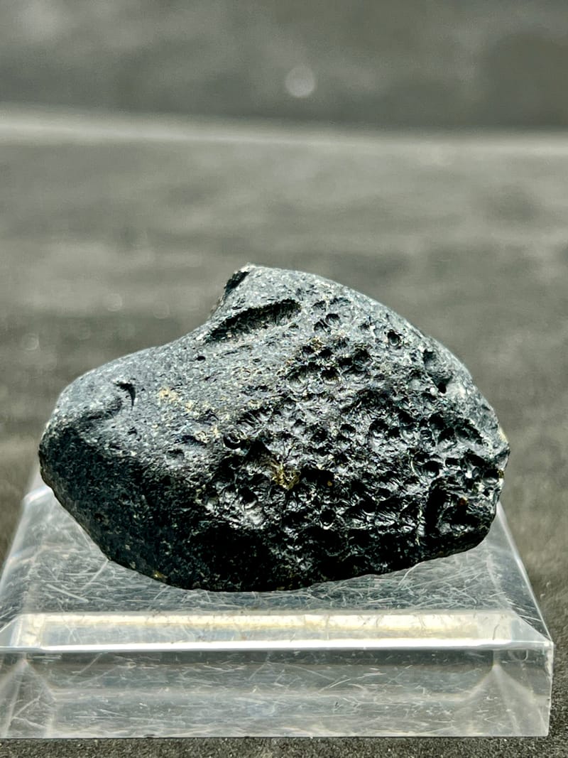 TECTITA NEGRA (MARRUECOS)