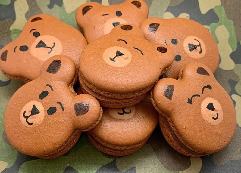 Koala bears - Tiny Temptations Macarons