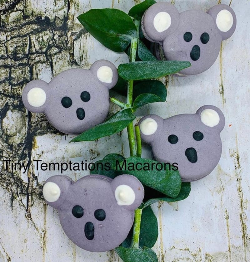 Koala bears - Tiny Temptations Macarons