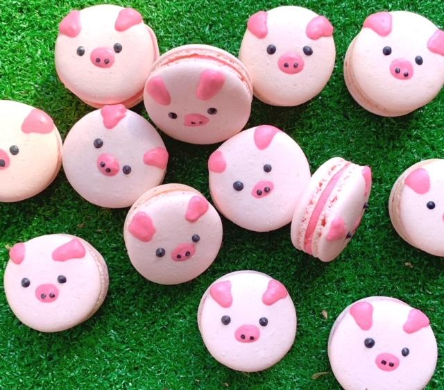 Pigs - Tiny Temptations Macarons