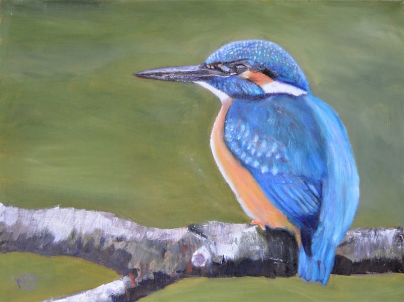 Kelvin Kingfisher - Gallery image 43 of 101 - Nigel Johnson