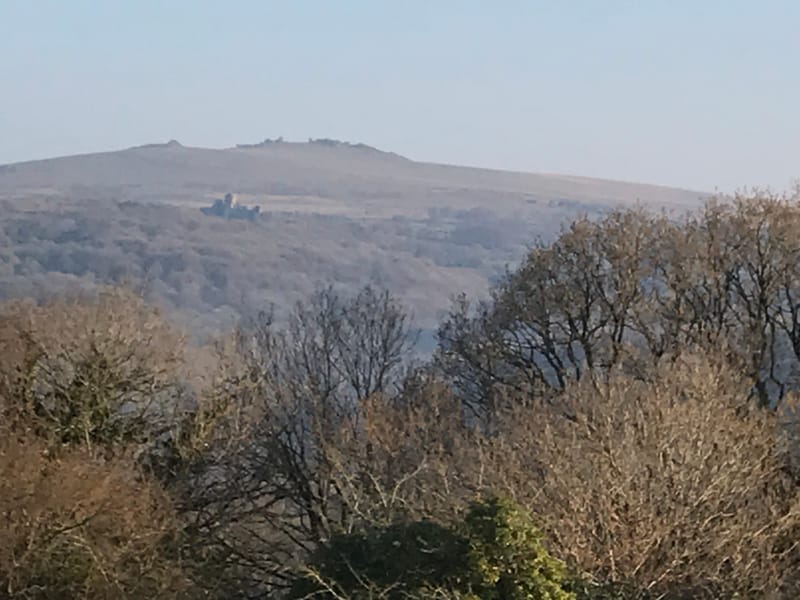 Walkham Valley - Rewilding Futures