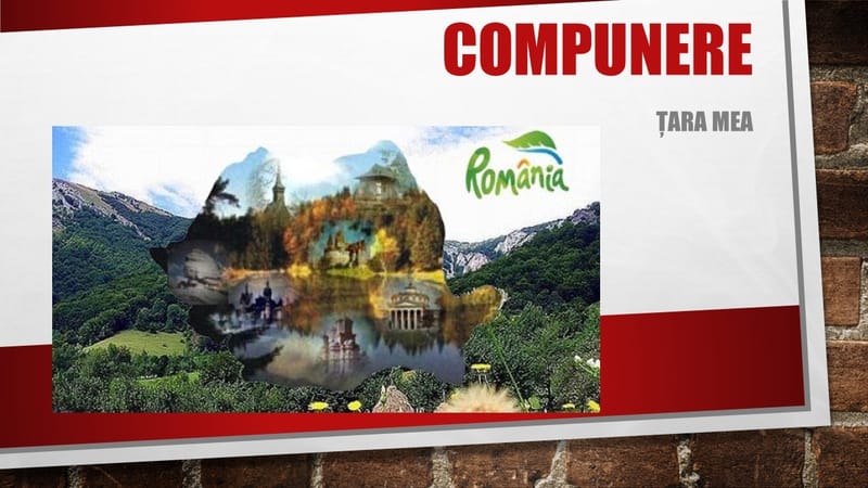 Compunere după plan: România - MÎNECUȚA CU IDEI