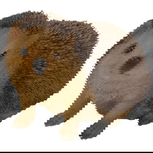 Life Like Animals - The Potting Shed Dorchester