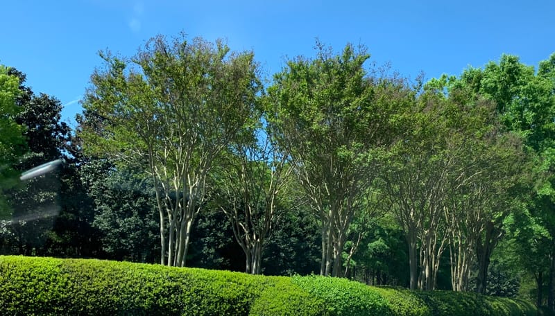 WCSCC Charities, Inc. - Caring and Sharing Together