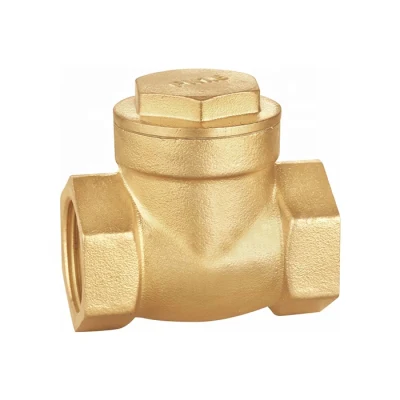 Spring Check Valves