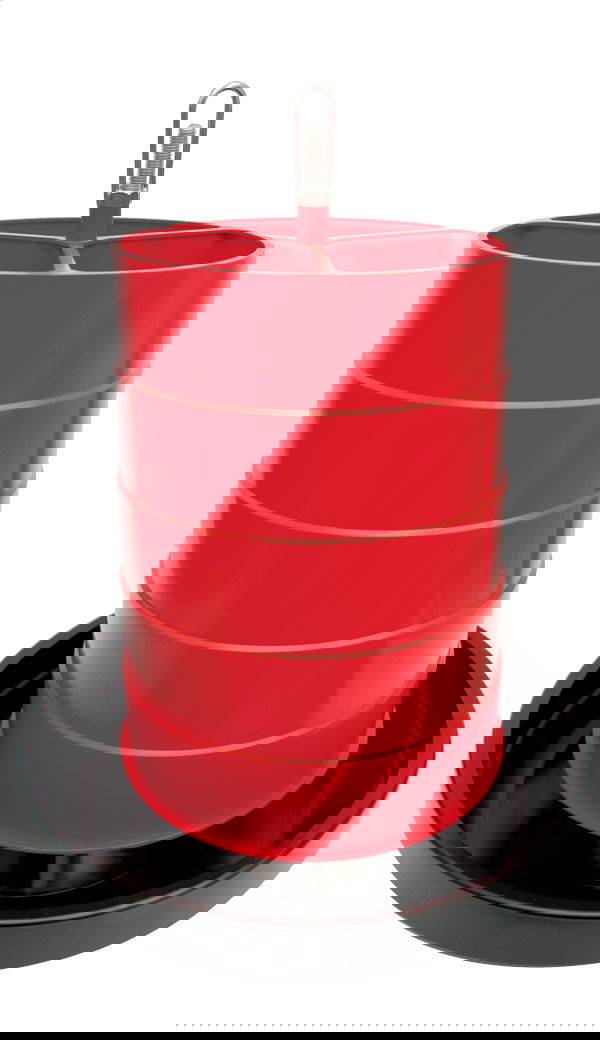 poltek - our poultry place