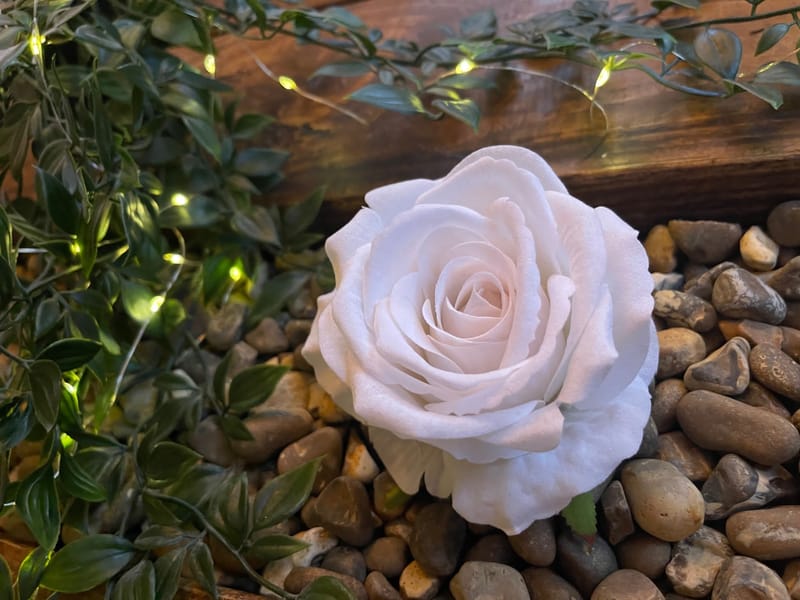 1 x Rose Velvet Head ( GRADE A+ ) White - Artificial Flowers Keighley UK