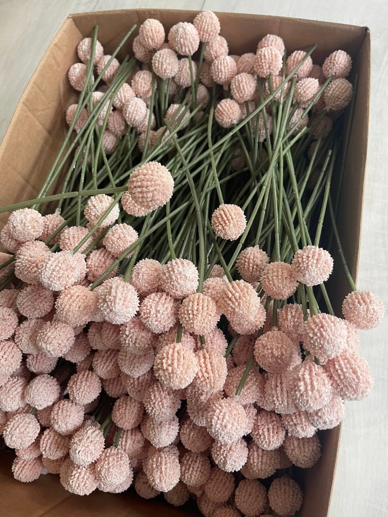 Bulk Buy Flowers