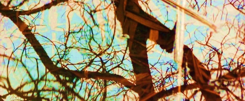 Orlagh Meegan-Gallagher Artist