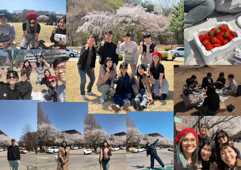 03.28. 23. Blossoms and strawberry party! - SCL, KAIST. - KAIST SOCIAL COMPUTING LAB