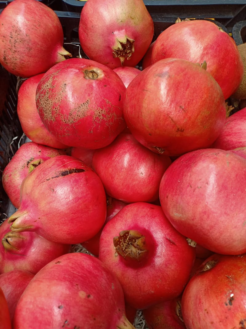 Fresh Morocco Vegetables | Online Fruit Box Delivery in Gibraltar