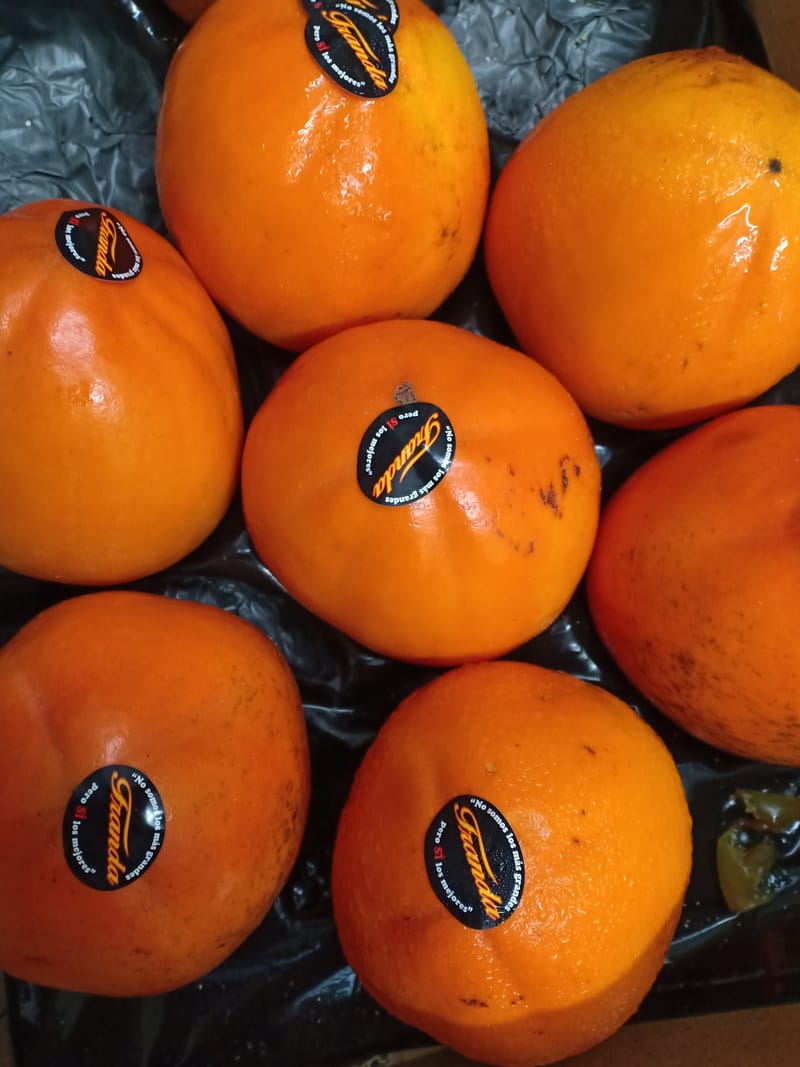 Fresh Morocco Vegetables | Online Fruit Box Delivery in Gibraltar