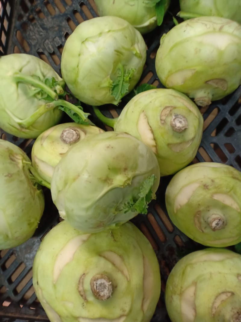 Vegetables - Sosi's veg