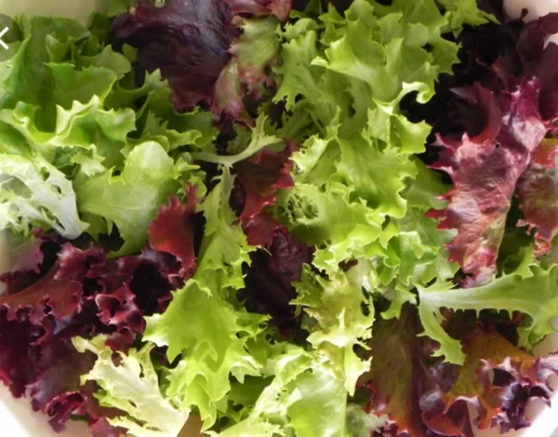 Mixed Lettuce - 400g - Cyrus Farm Health Store