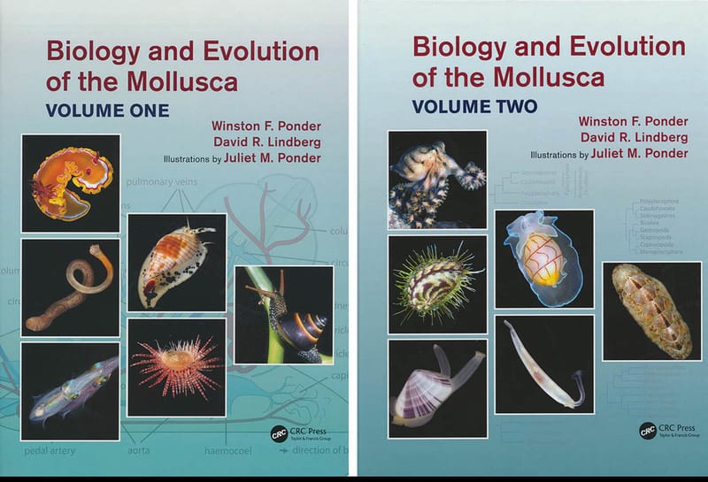 Chapter 3: Shell, Body, and Muscles - Molluscbook