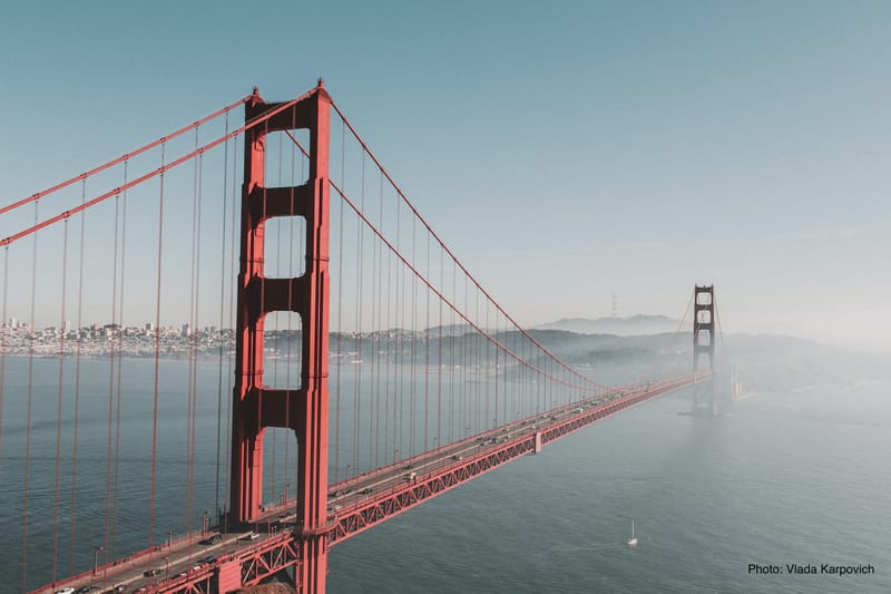 March 2023 - True Wild