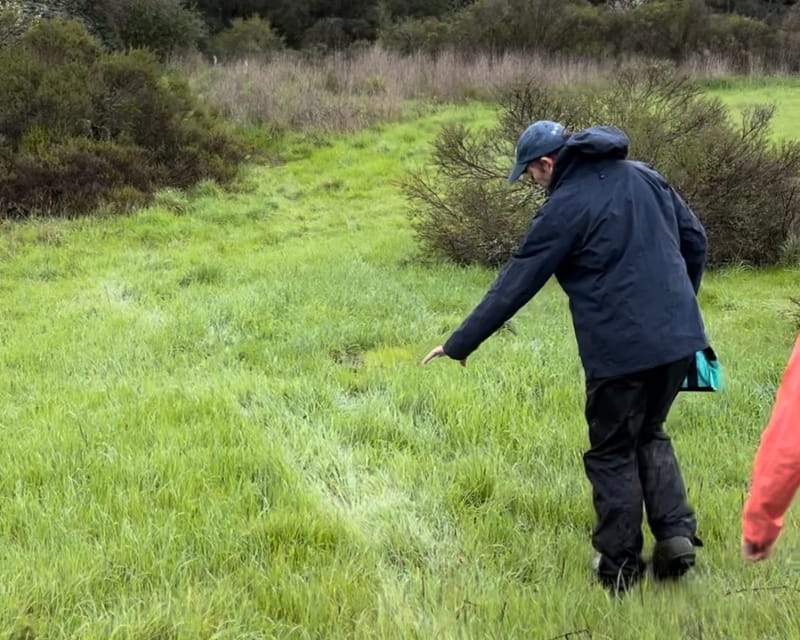 Tracking a mountain lion drag mark - True Wild