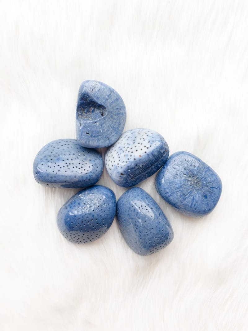 Blue Coral Tumble Stone - June Crystals
