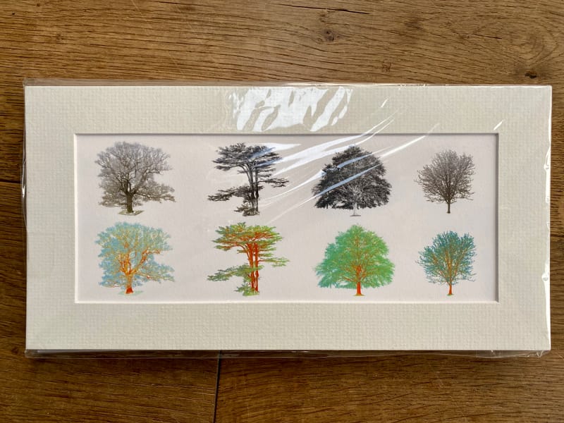Limited Edition Prints - Significant Trees