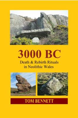 3000 BC Death & Rebirth Rituals in Neolithic Wales - Altar Stone is ...