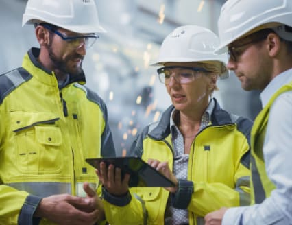 Plant Emergency Operations: Preparedness and Response