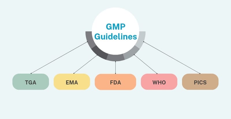 GMP Requirements for Food Processing Facilities