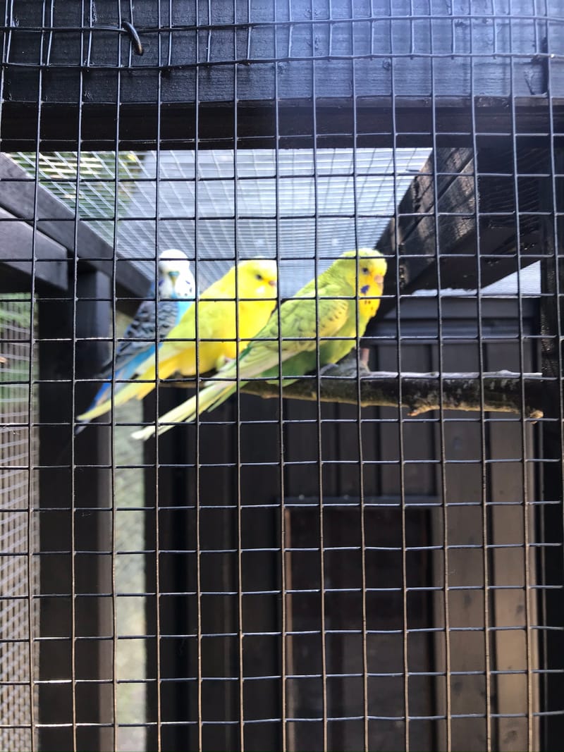 - Powmill Caravan and Motorhome Site and Cattery