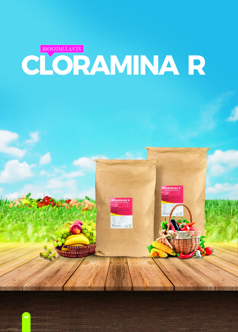 CLORAMINA S - Biostimulant en Poudre Mouillable | FERTIVAL