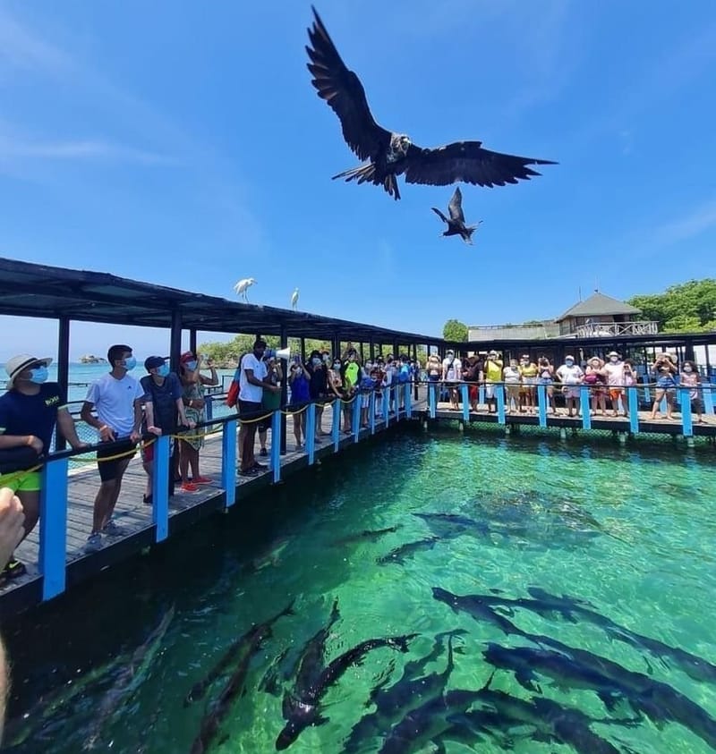 Oceanario Islas del Rosario