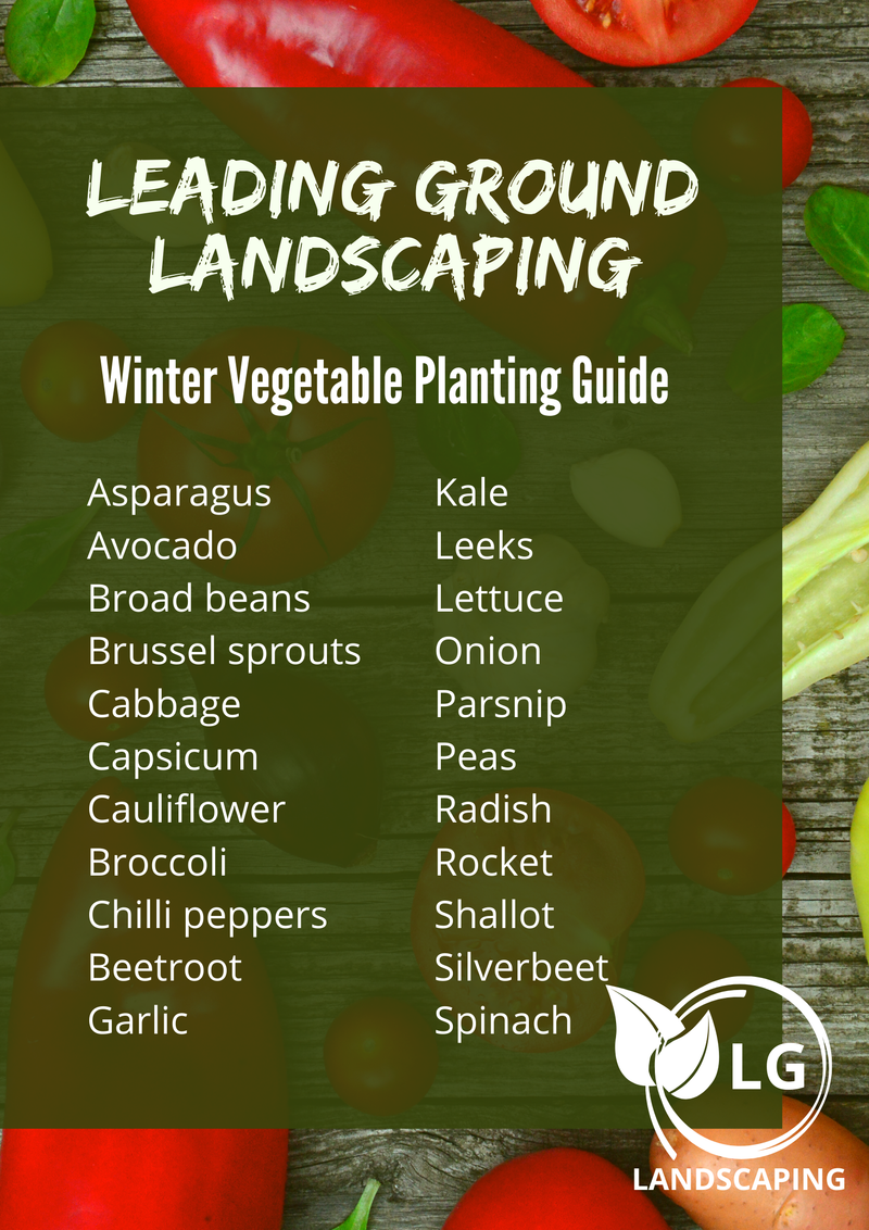 Winter Planting Guides - Leading Ground Landscaping