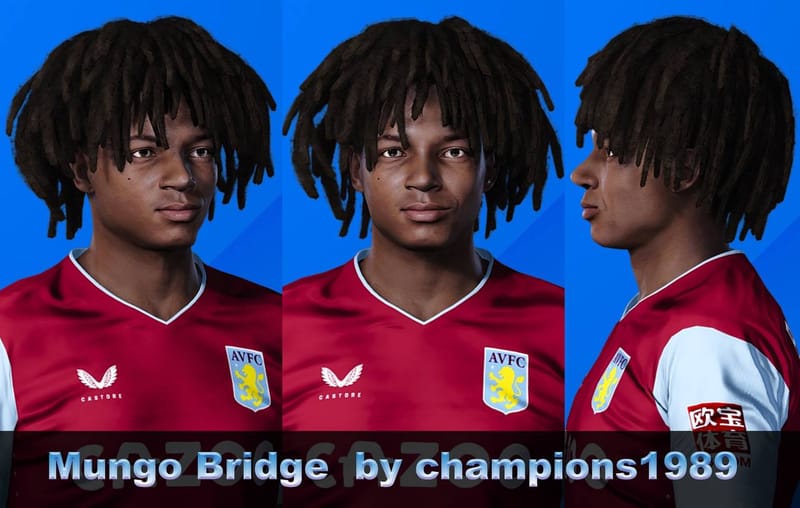 Mungo Bridge - maker-3d