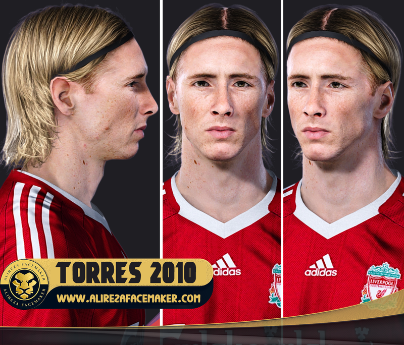 fernando torres 2010