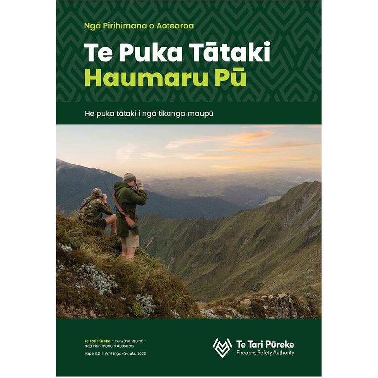 Gun Security Cable Lock, Key or Combination - Aladdinz