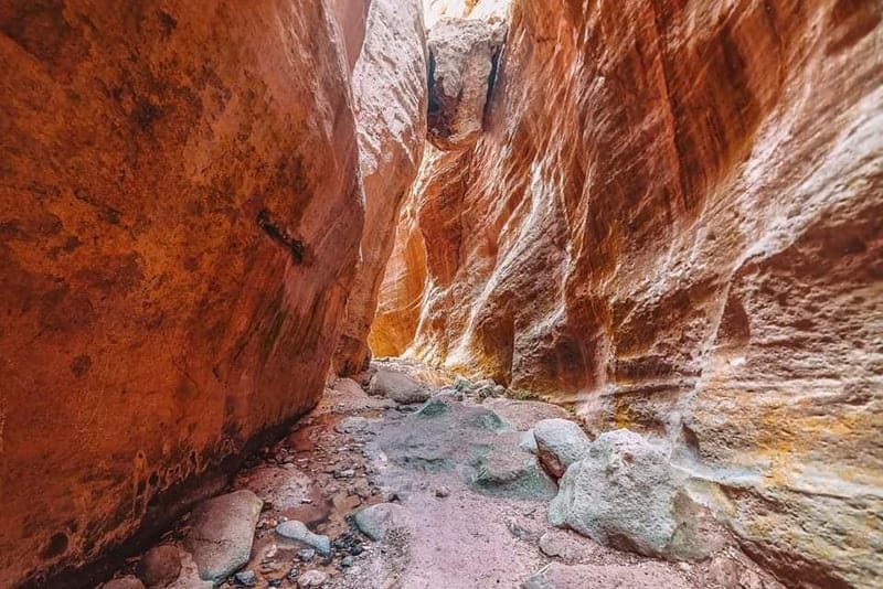 AVAKAS TARPEKLIS. NEATSKLEISTA PASLAPTIS - ATOSTOGOS KIPRE