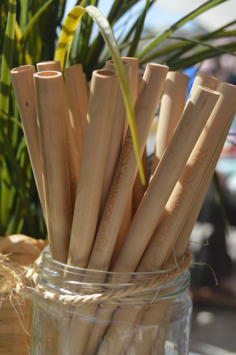 SINGLE BAMBOO STRAW - Tipsy Hammock
