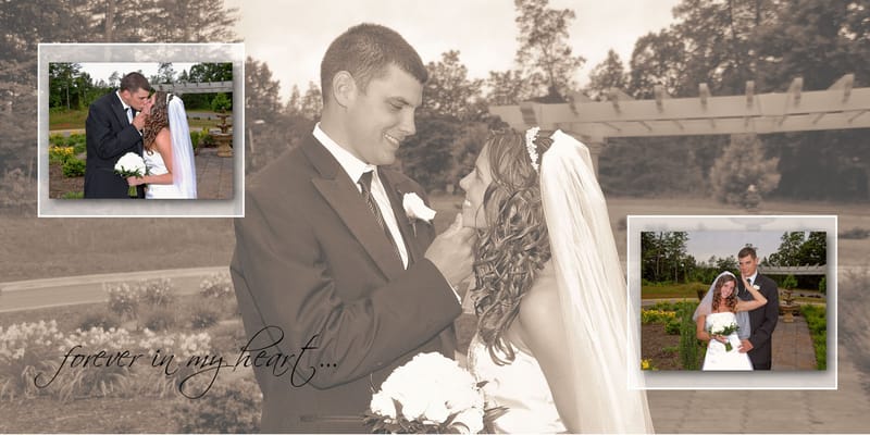 Gallery - Blackburn Photography