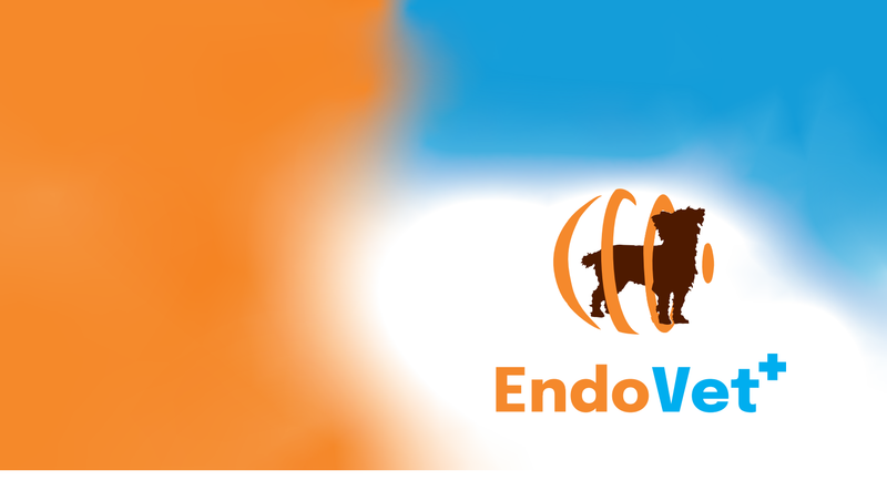 EndoVet Plus - Vets know what Pets need