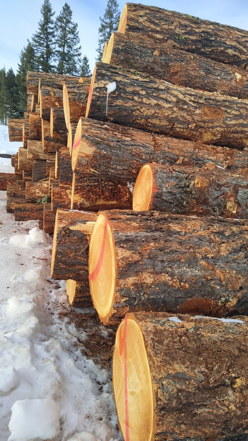 FIR LOGS - Esk'et Sawmill (cníк’meń) Alkali Lake