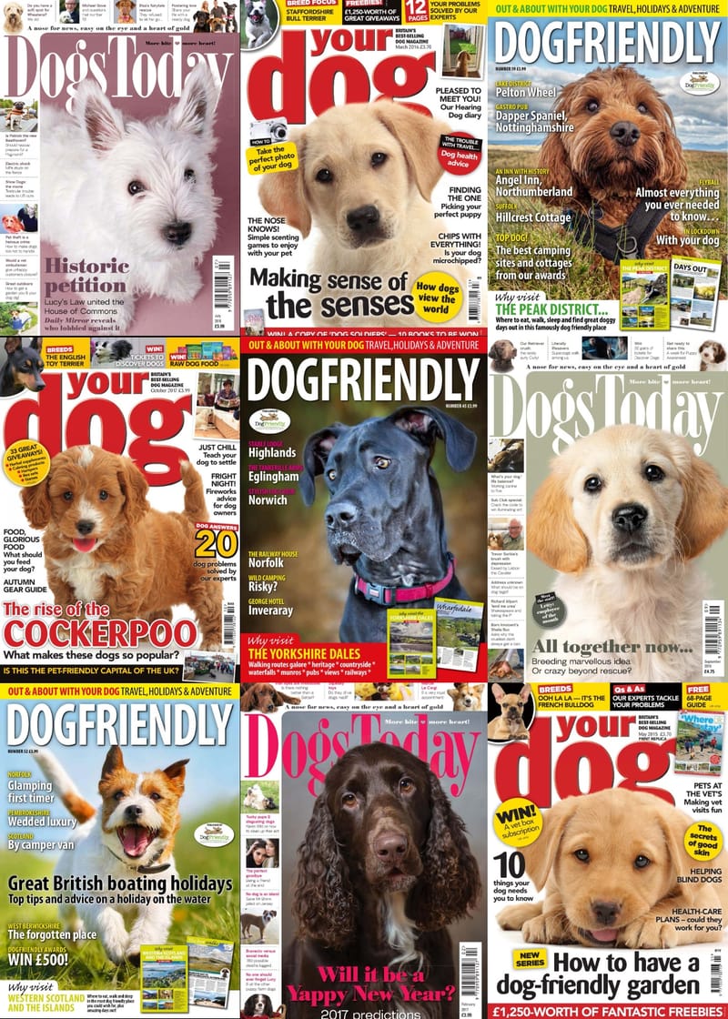 100+ Dog Magazines back issues - PDF Digital Downloads