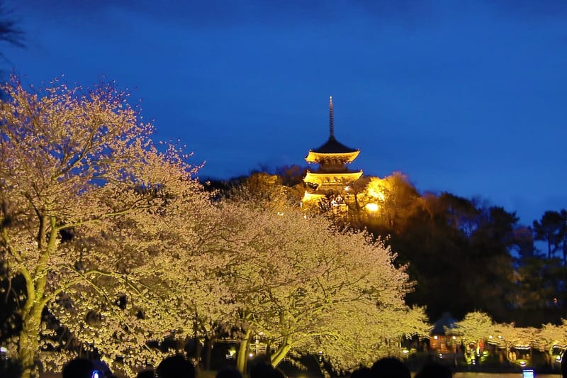 Photo Album - Woho´s Photography