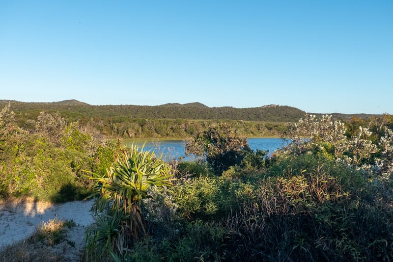 Species Lists - Moreton Island Protection Committee