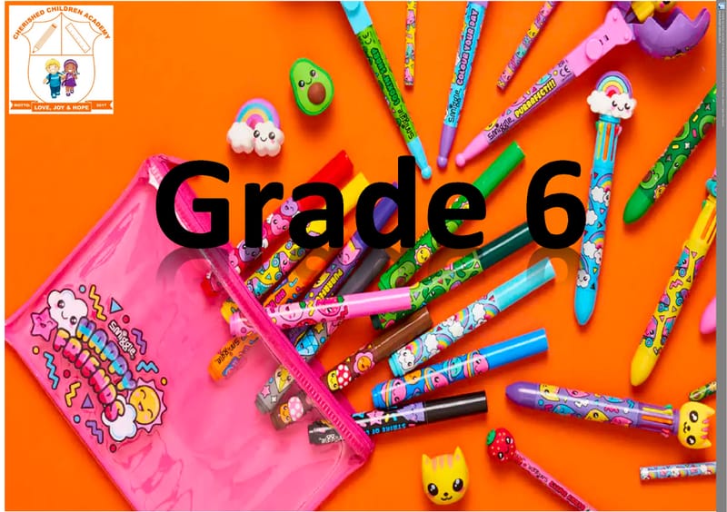 Grade 6 - Cherished Children Academy