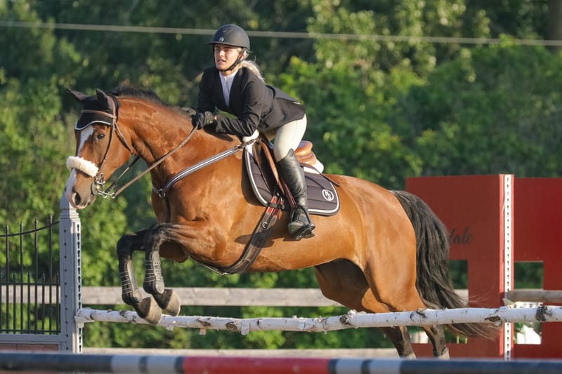 Harmony Hills Equestrian Center