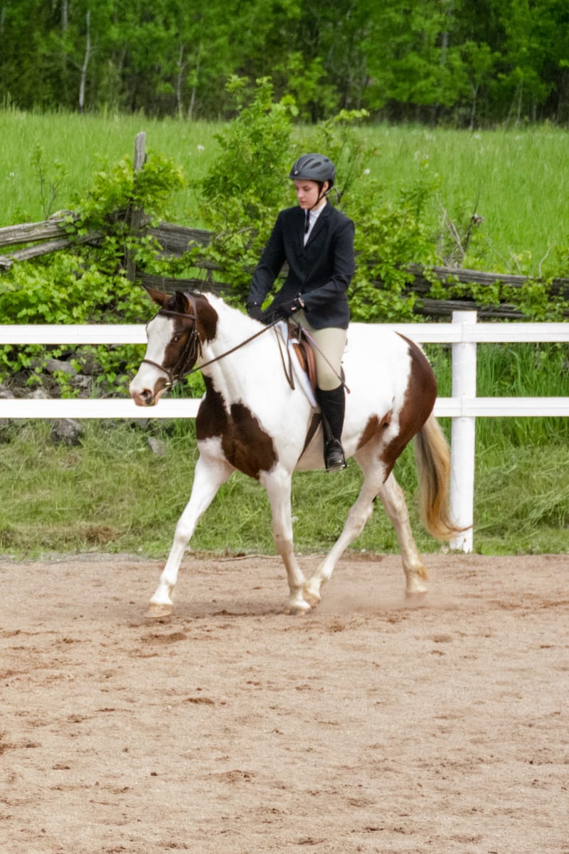 Canvas - Harmony Hills Equestrian Center