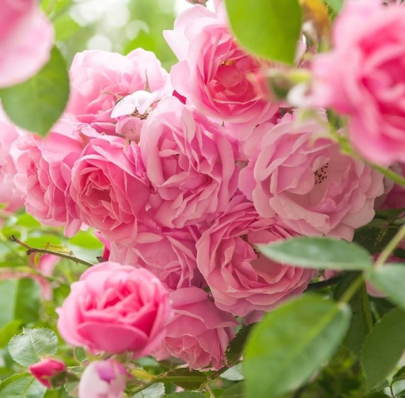 What is witchcraft? Does magick really exist? - This Modern Housewitch