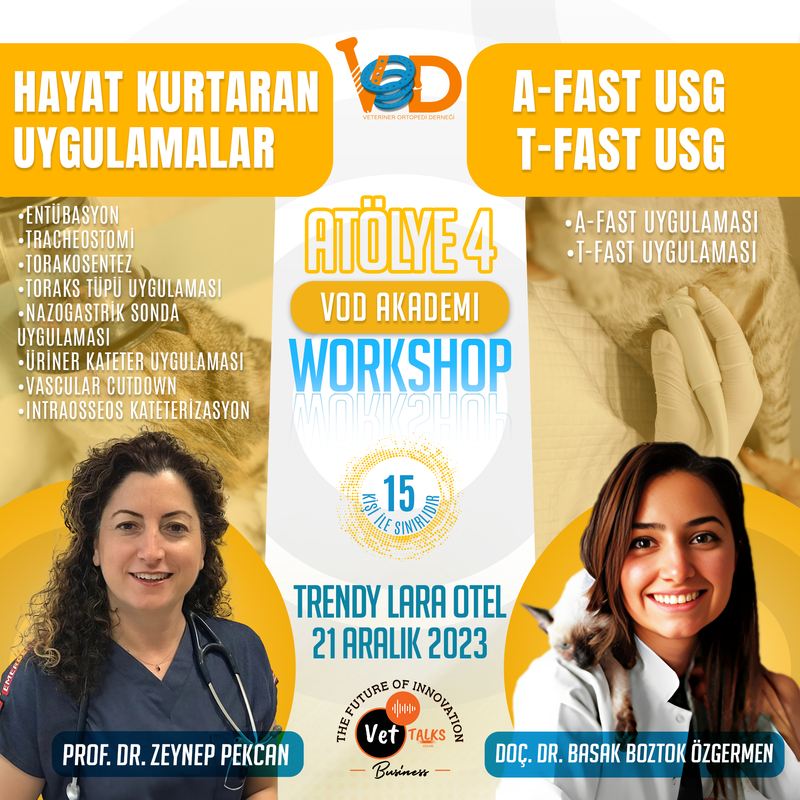 Hayat Kurtaran Uygulamalar Ve A-fast T-fast Usg