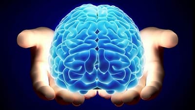 Binario Ecuador - II CONGRESO INTERNACIONAL DE PSICOLOGÍA