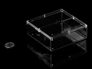 FULLY DRAWN HONEY COMB FRAMES, Set of 10 Deep Size Frames - Natural Bee ...