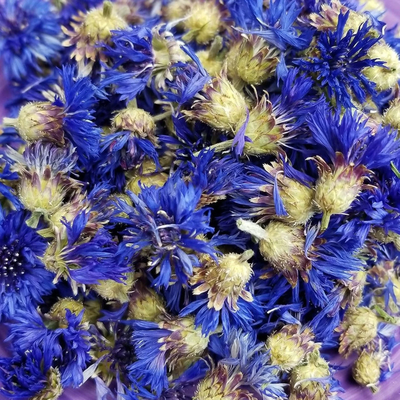 Dried Blue Cornflowers - Lunamoon Creations